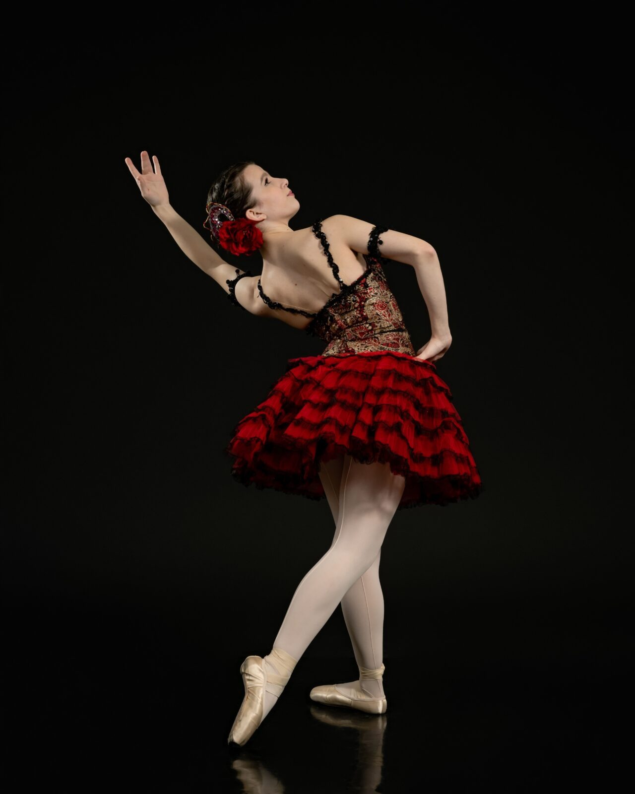 Upcoming Performances - The Virginia Ballet Company